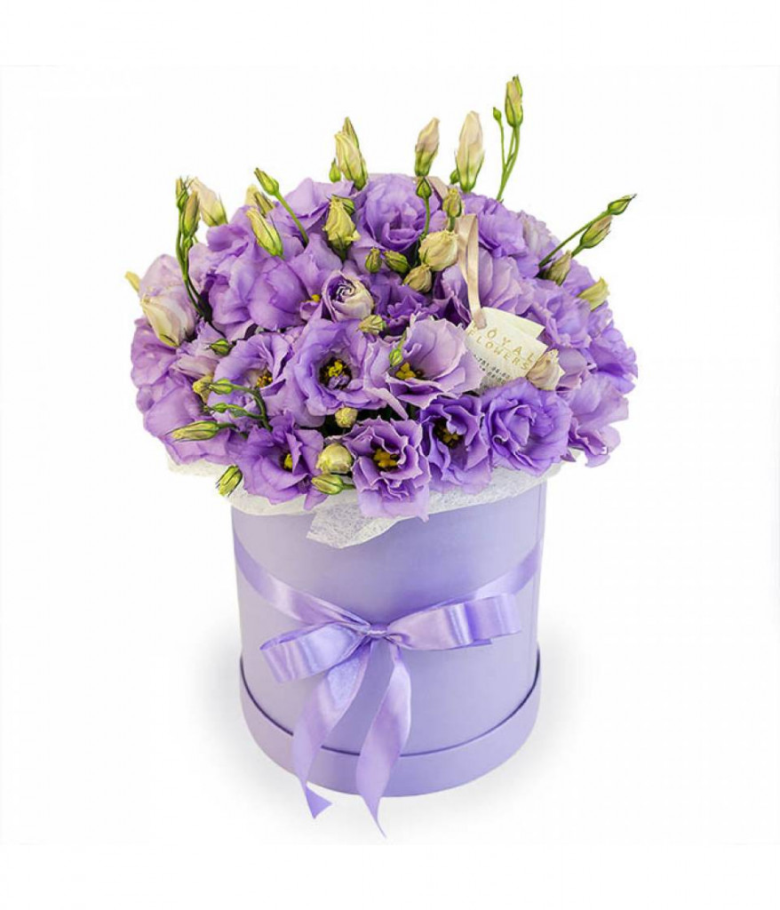 Eustoma flower (lisianthus): perennial, planting and care, growing in ...